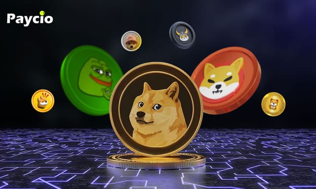What are Meme Coins?